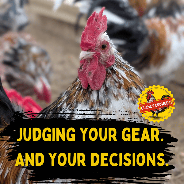 Rooster 101: How to Raise a Friendly Rooster - Cluck It All Farms