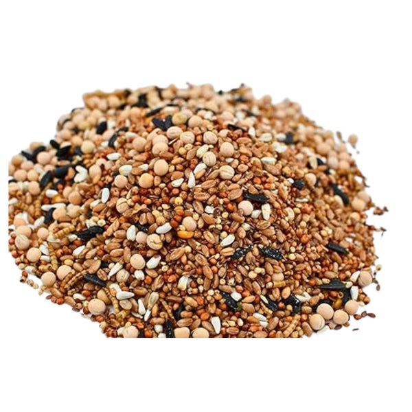 Scratchercise Chicken Treat – 5 lb Foraging Mix - Cluck It All Farms